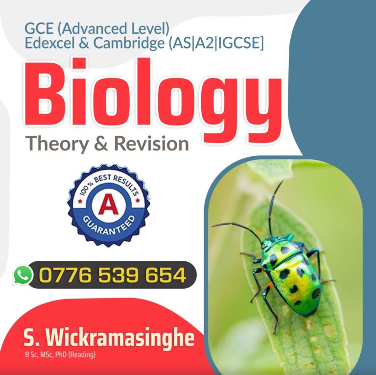 Biology - Online Class